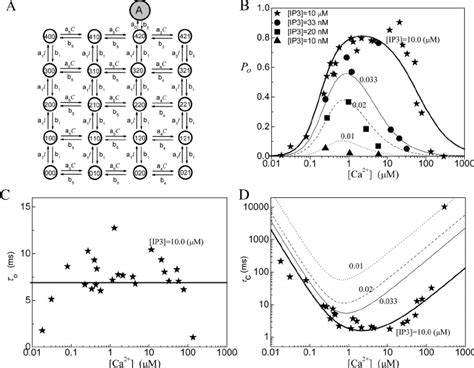 Model 7 ͑ A ͒ The State Structure Of The Sequential Binding Ip 3 R