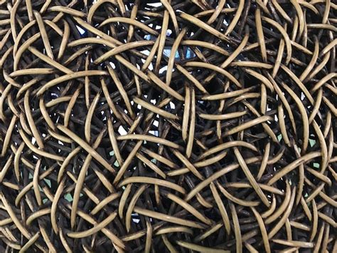 Premium Photo Full Frame Shot Of Patterned Metal