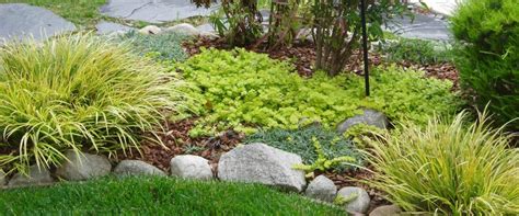 Softscape What Is Included In A Soft Landscape Design