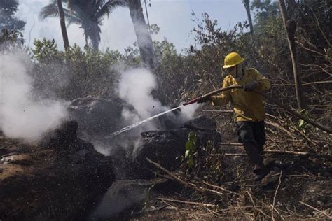 Brasil La Destrucción De La Selva Amazónica Continúa Sin Control En