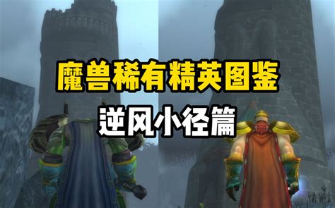 魔兽稀有精英图鉴逆风小径篇联盟部落终于相遇 魔兽福乐 魔兽福乐 哔哩哔哩视频