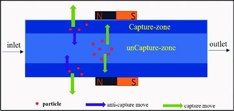 Schematic Diagram Of Transverse Motion Of Particles Under The Act Of