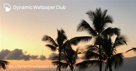 Maui Dynamic Wallpaper Club