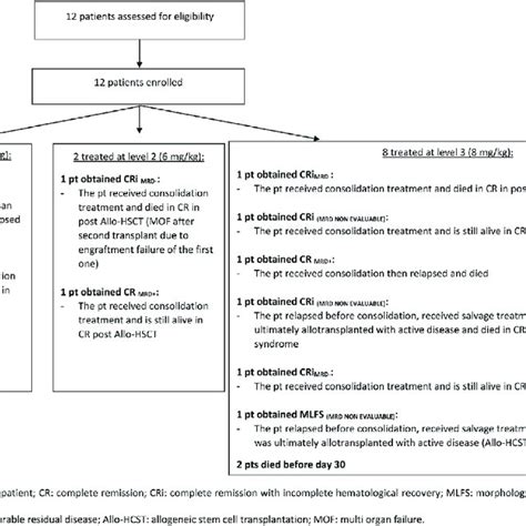 Trial Profile Pt Patient Cr Complete Remission Cri Complete