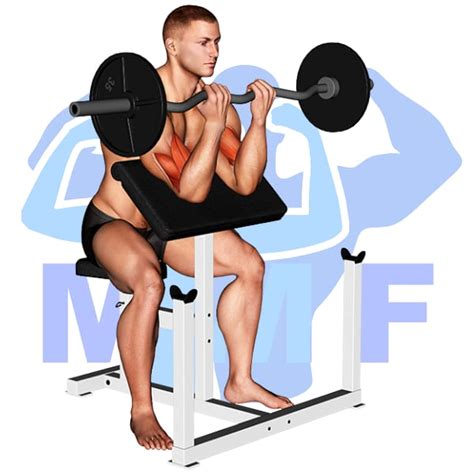 Upper Body Ez Bar Exercises You Should Be Doing