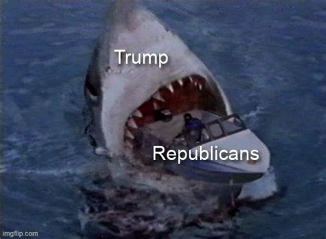 Jump The Shark Attack Imgflip