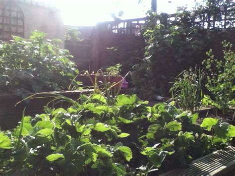 Extreme Gardening: Carnival Edition ⋆ Laura Hadland: The Extreme Housewife