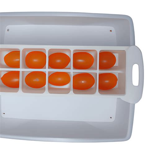 Digital Graphic Cooler Box With Small Partitions · Creative Fabrica