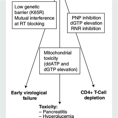 Classification Of Nucleosidenucleotide Analogues Used As Antiviral