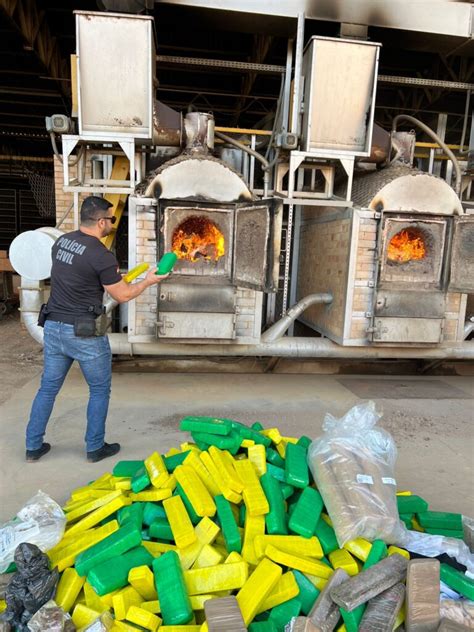 Draco Deic Incinera 800 Quilos De Drogas Sspsc