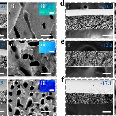 Heterogeneous Structural Color Hydrogels With Designed Freezing