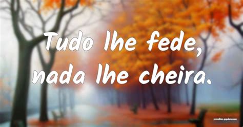 Não Fede Nem Cheira