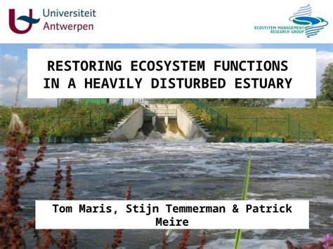 Pptx Restoring Ecosystem Functions In A Heavily Disturbed Estuary