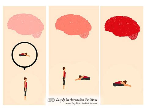 La Ley De La Atracción En El Deporte Ley De La Atracción Positiva