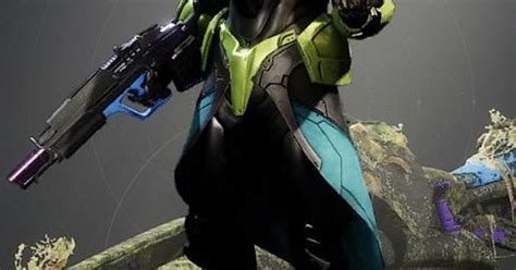 Current D2 Guardian Album On Imgur