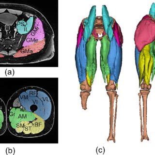 Body Weight Normalised Ground Reaction Force Components Vertical