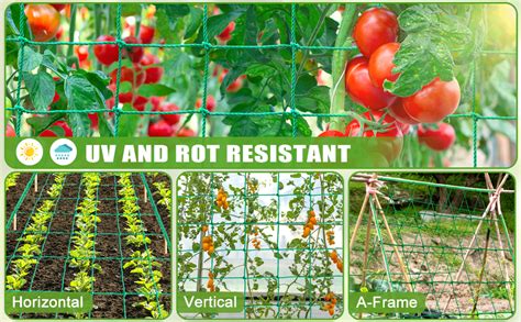 Trellis Netting 985x66ft Garden Trellis Netting For Climbing Plants With Plant