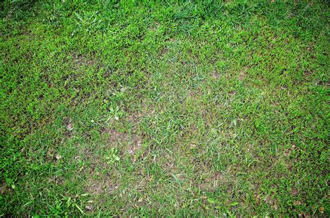 Premium Photo Clean Green Grass Lawn Texture Background