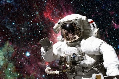 Curiosità Scientifiche Cosa Mangiano Gli Astronauti Nello Spazio E