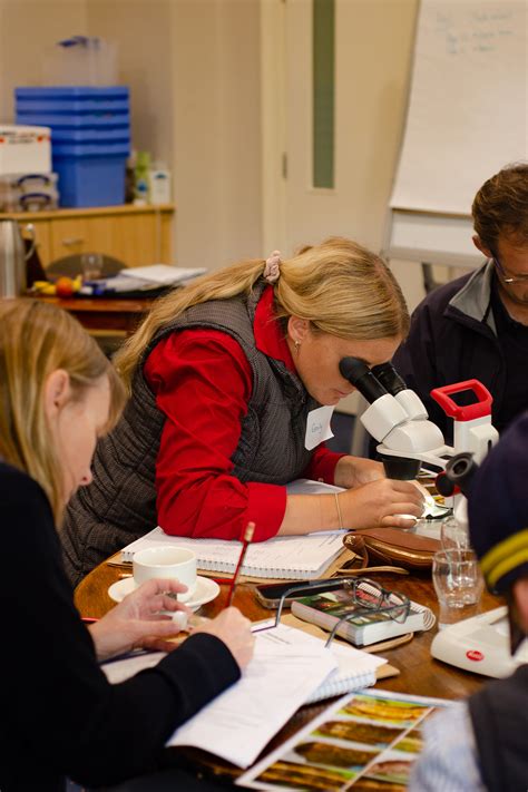 Insect Id Workshop Cesar Australia
