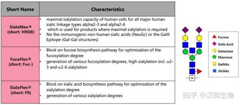 汉腾生物chozen®和glycoexpress®商用细胞系 知乎