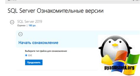 Microsoft Sql Server