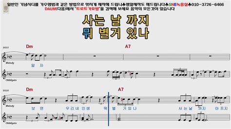 태진아 인생2막 여자키 Youtube