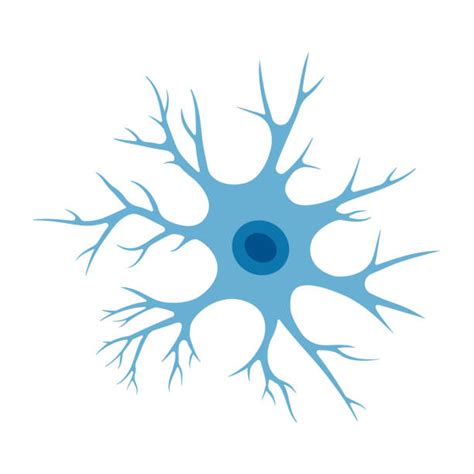 Dendrite Diagram