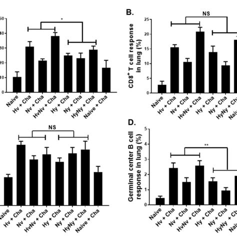 Cellular Immune Responses After Influenza B Virus Challenge Infection