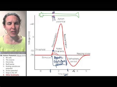 Effective Refractory Period Graph The Effect Of Brain Anodal And