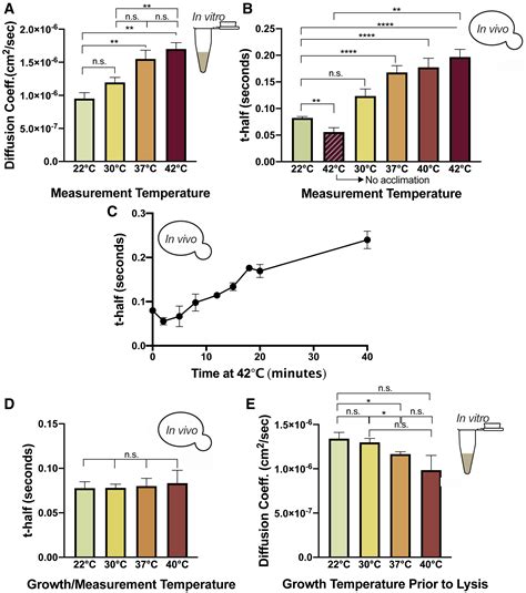 Dynamic Viscosity Of Cell Culture Media At Dorothy Leasure Blog