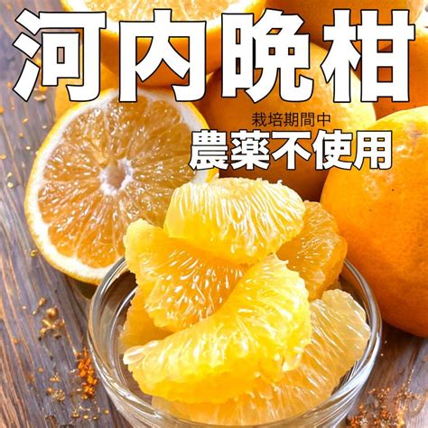 愛媛西宇和産 ジューシー河内晩柑 8キロ箱込み 農薬不使用 和製グレープフルーツ By メルカリ
