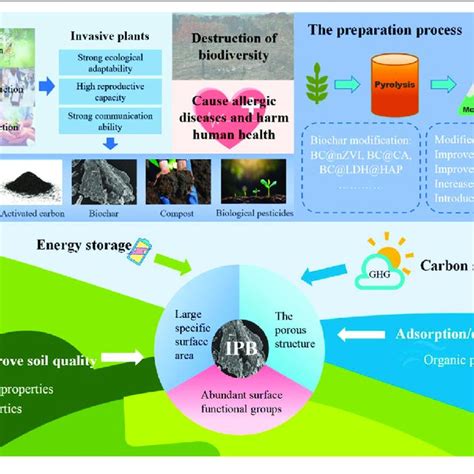 Preparation Modification Characteristic And Use Of Biochar From