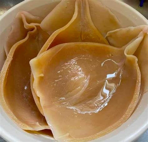 Resepi Sambal Sotong Kembang Tak Liat Macam Getah Kool 101