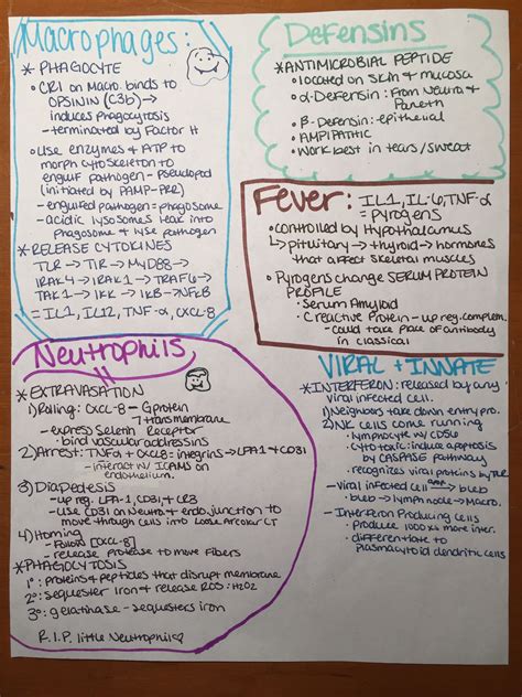 Innate Immunity Innatesystem Immune Immunology Nursing School Notes Nursing Mnemonics