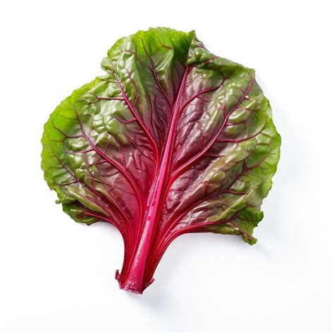 Premium Ai Image Common Beet