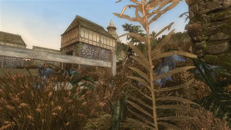 Morroblivion More Detailed Places At Oblivion Nexus Mods And Community