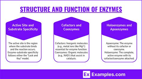 Enzymes Notes And Practice Questions Mcat Examples
