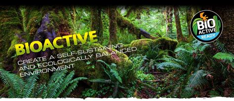 How To Set Up A Bioactive Terrarium Exo Terra