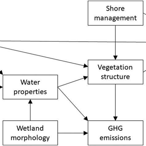 Flow Chart Showing Tentative Causal Relationships Between Structural