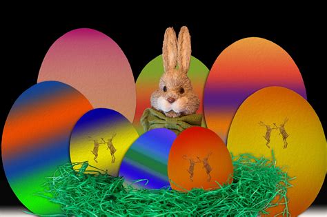 Download Easter Easter Bunny Easter Festival Royalty Free Stock