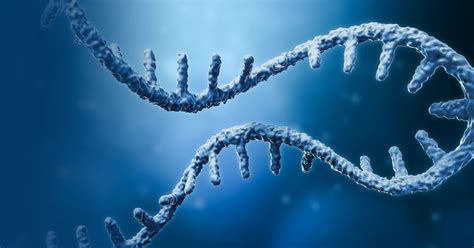 Rna Therapy