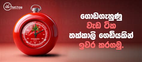 Blog Sinhala Sekara