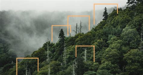 Data Analytics Auditing Metric Labs