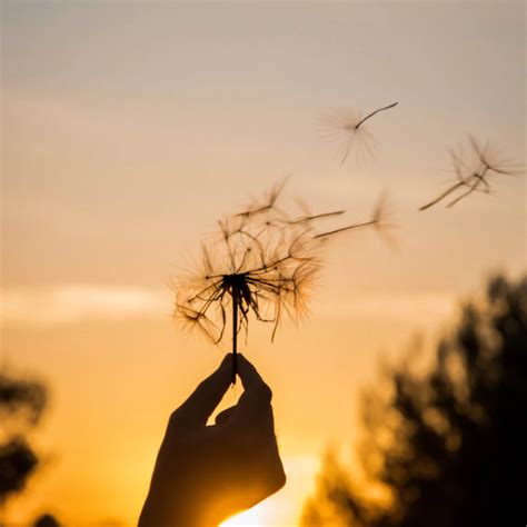 Theres More To Breathing Than You Might Think Embrace Life With Hester