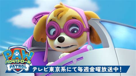 パウ・パトロール スカイが高いところを高速飛行！ テレビ東京系にて放送中 Youtube