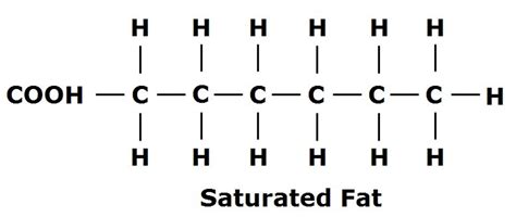 Image Of Saturated Fatty Acid