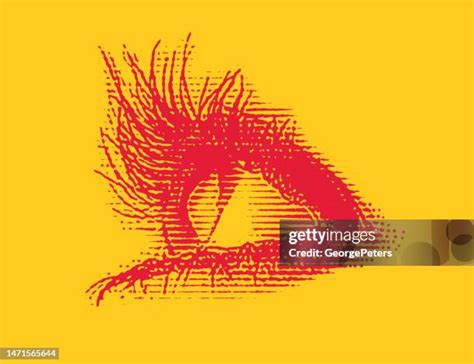 Human Eye Sem Photos And Premium High Res Pictures Getty Images