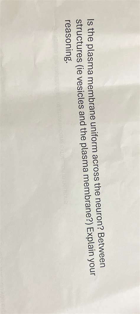 Solved Is The Plasma Membrane Uniform Across The Neuron