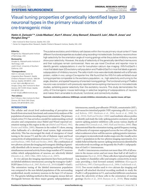 Pdf Visual Tuning Properties Of Genetically Identified Layer 23